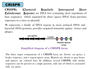Crispr | PPT