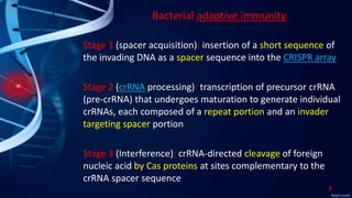 CRISPR-Cas systems and applications | PPTX | Programming Languages ...