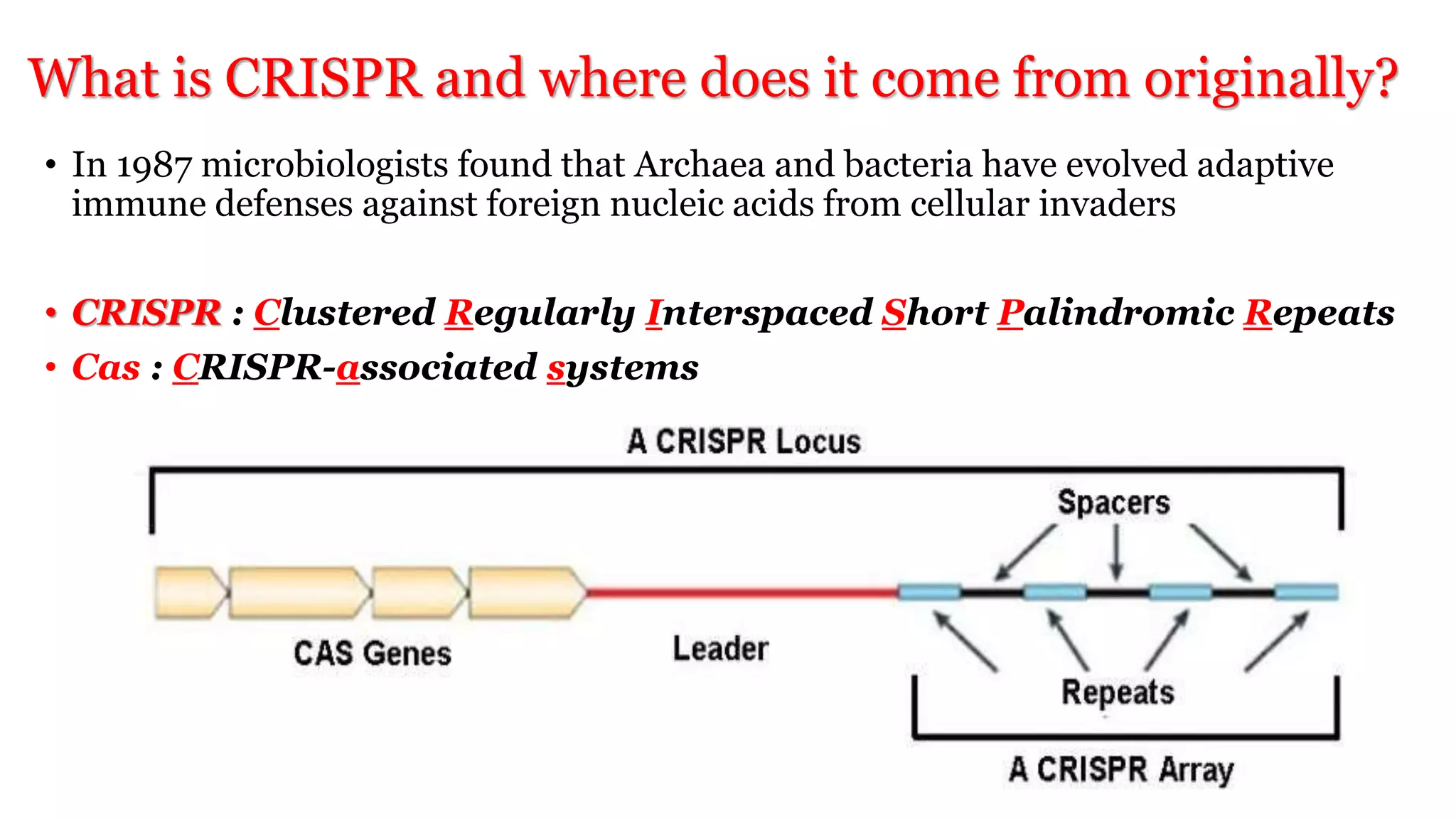 Crispr | PPTX