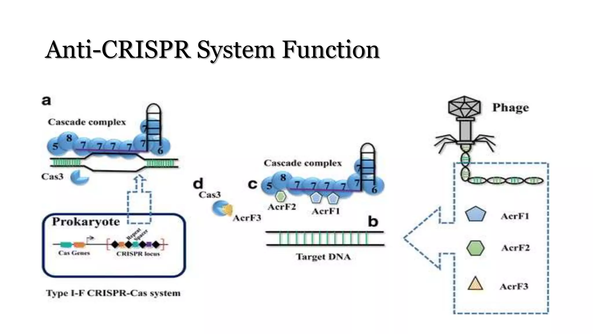 Crispr | PPTX