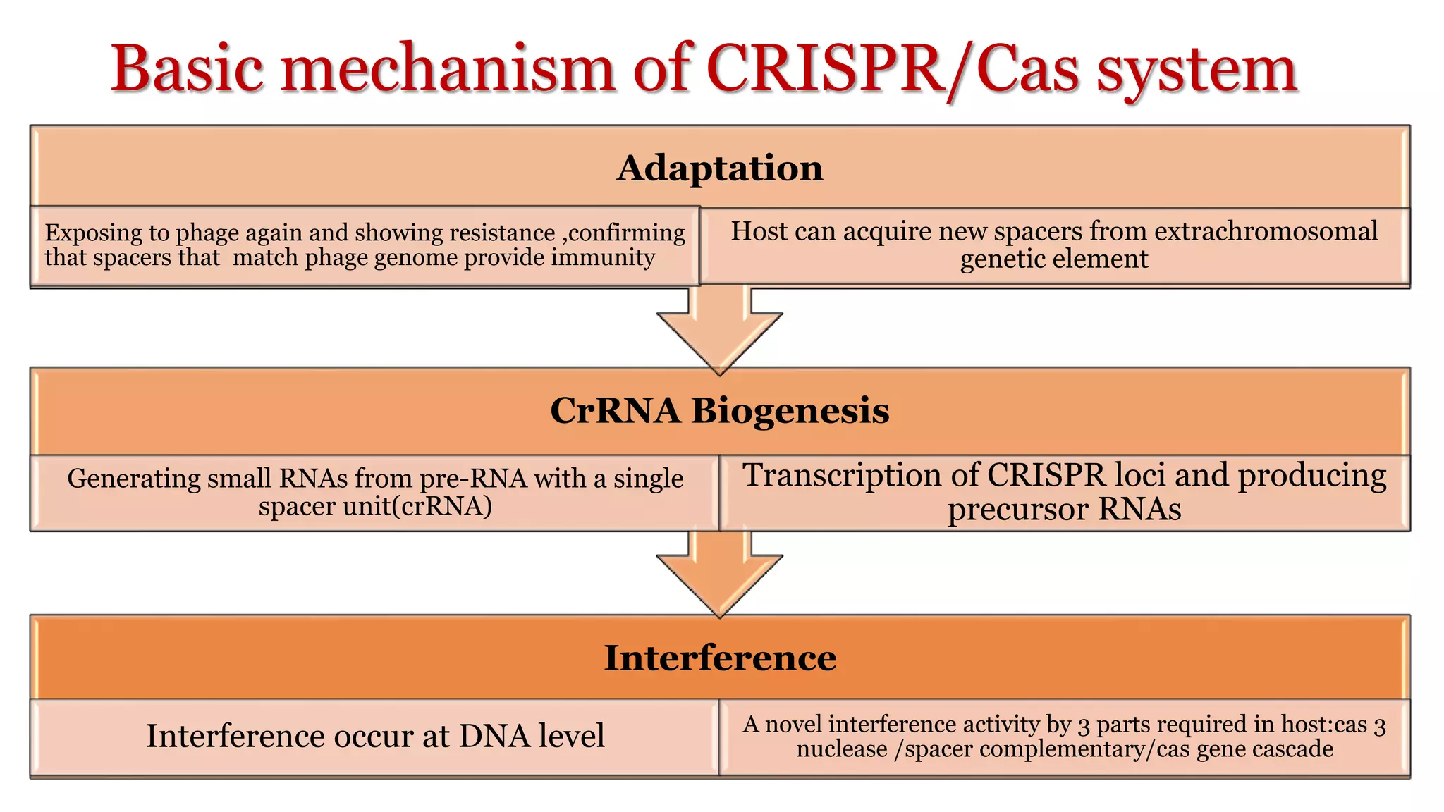 Crispr | PPTX