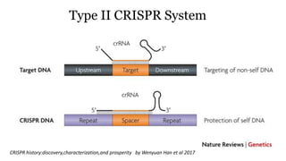 Crispr | PPTX