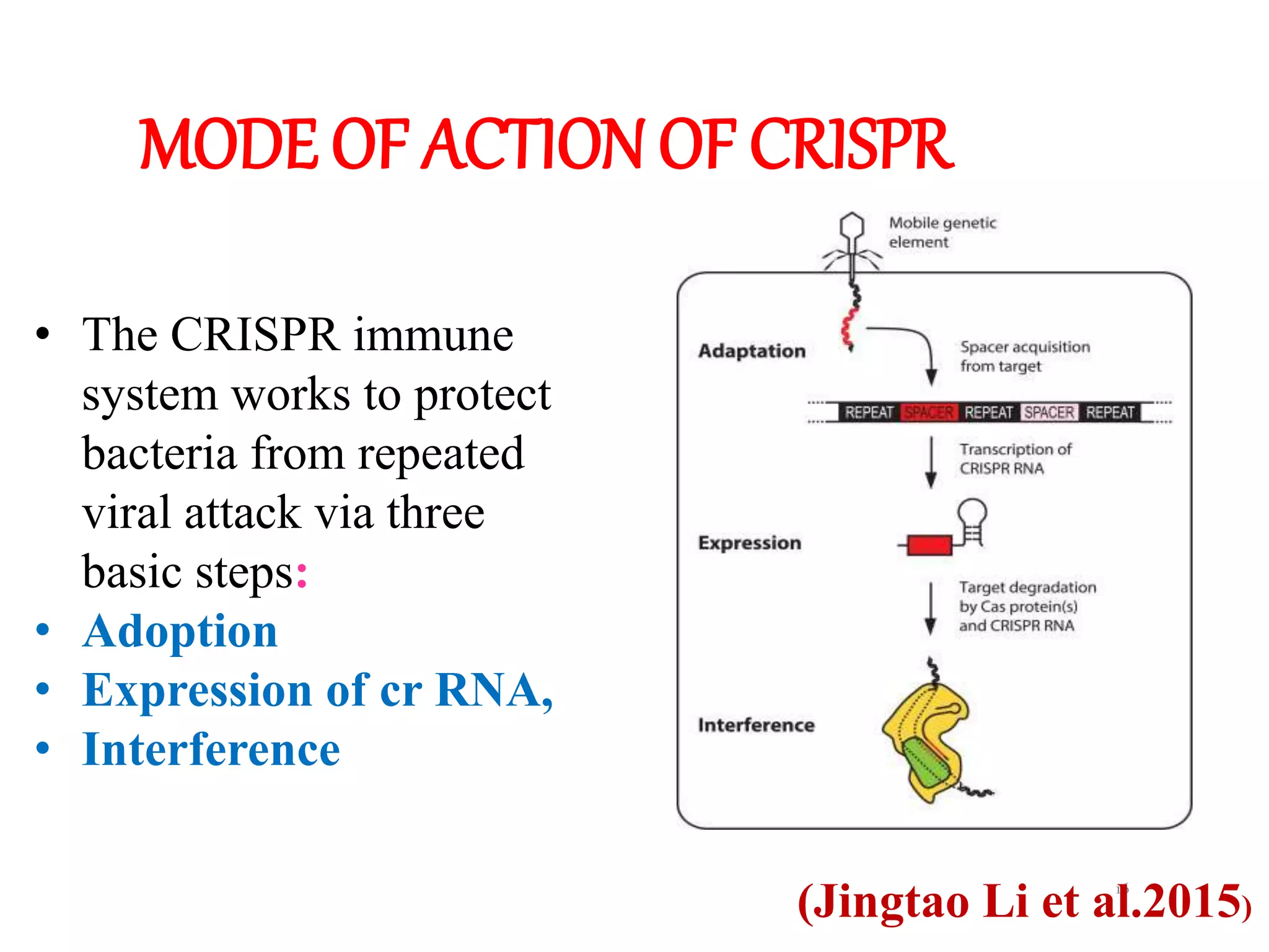 CRISPR – a novel tool for genome editing | PPTX