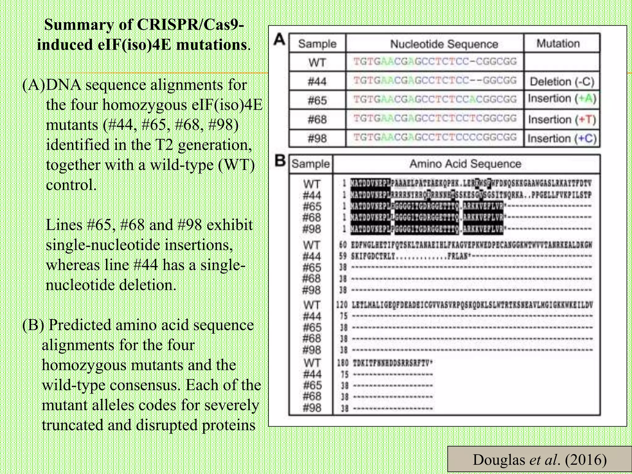 CRISPR (Clustered Regularly Interspaced Short Palindromic Repeats) | PPTX
