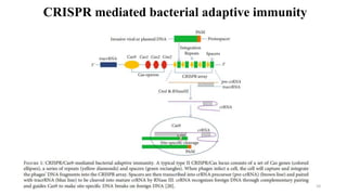 CRISPR.pptx