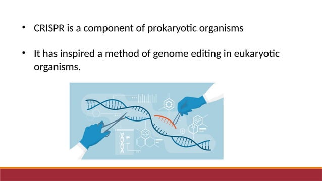 "Exploring CRISPR-Cas9: Revolutionizing Gene Editing and Biotechnology ...