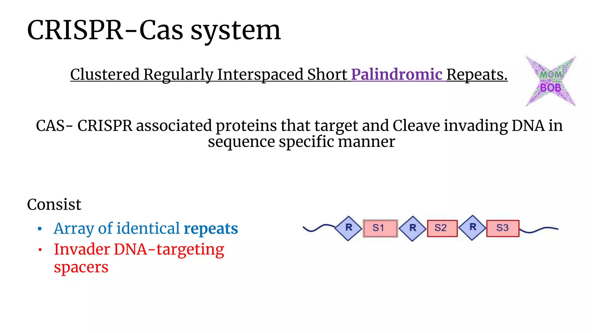 CRISPR-Cas9 system a tool for gene editing presentation | PPTX