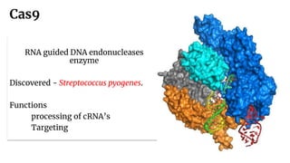 CRISPR-Cas9 system a tool for gene editing presentation | PPTX
