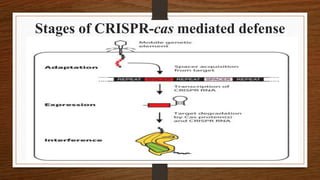Crispr cas system | PPTX