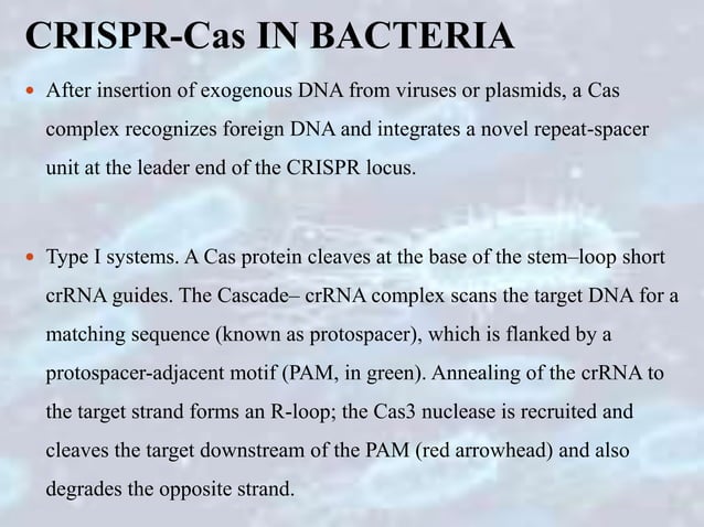 Crispr cas | PPTX | Programming Languages | Computing