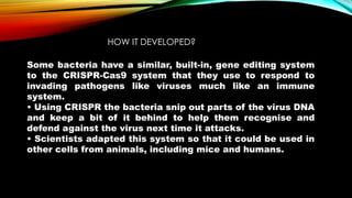 CRISPR-Cas (1).pdf najajajisusuhehsbaanm | PDF