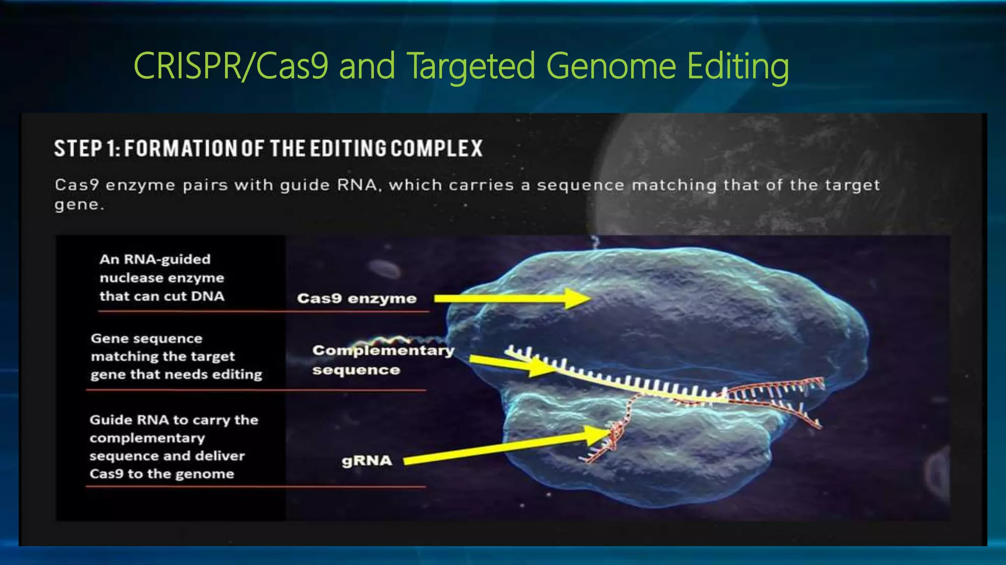 Crispr cas9 | PPTX