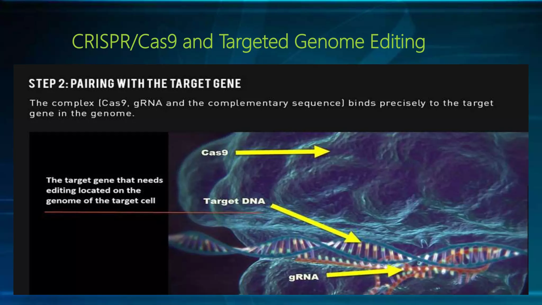Crispr cas9 | PPTX