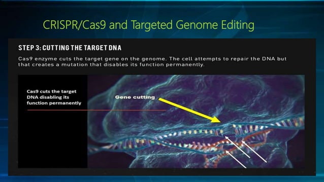Crispr cas9 | PPTX | Programming Languages | Computing