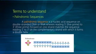 Crispr cas9 | PPTX