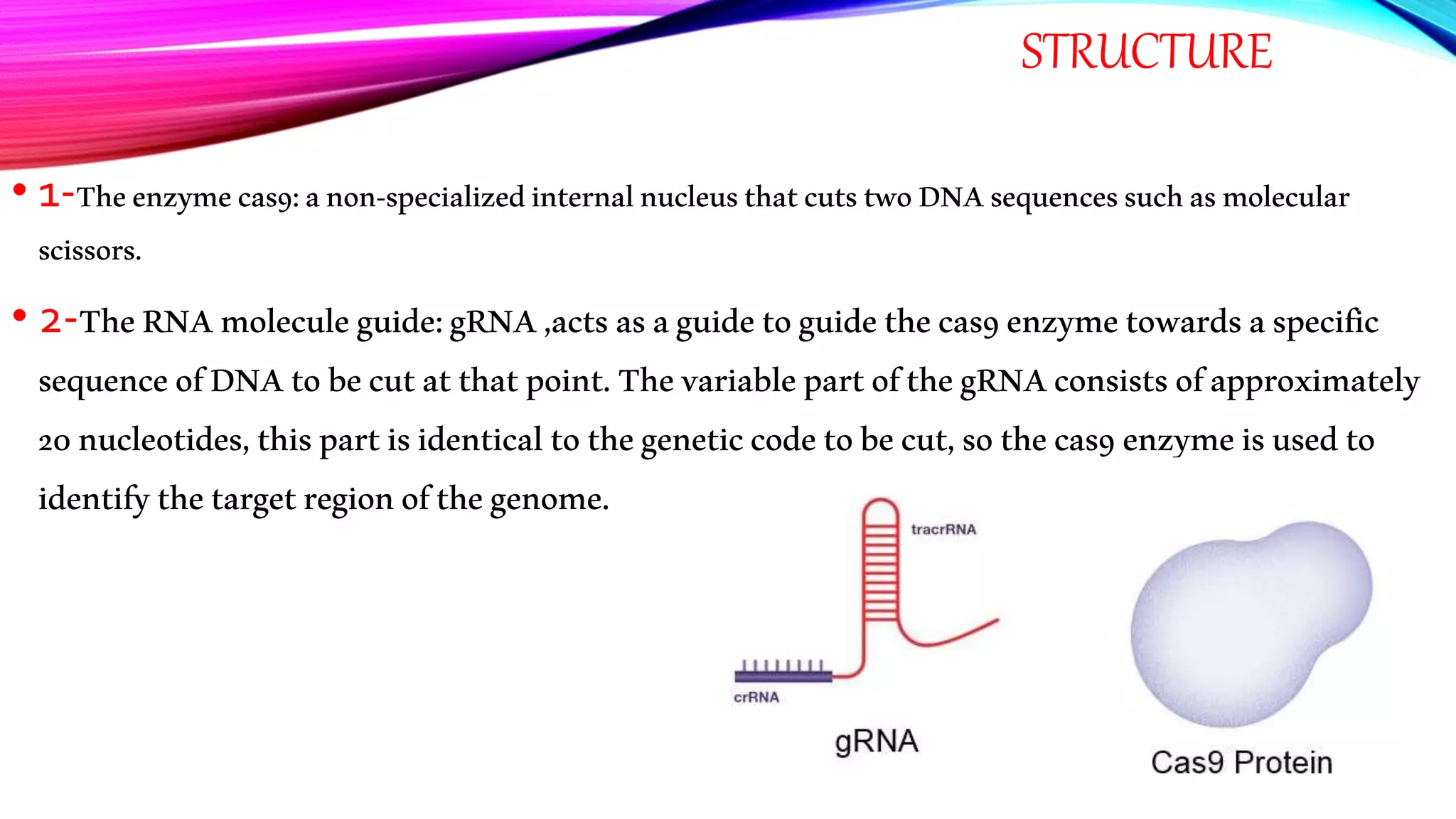 Crispr cas9 | PPTX