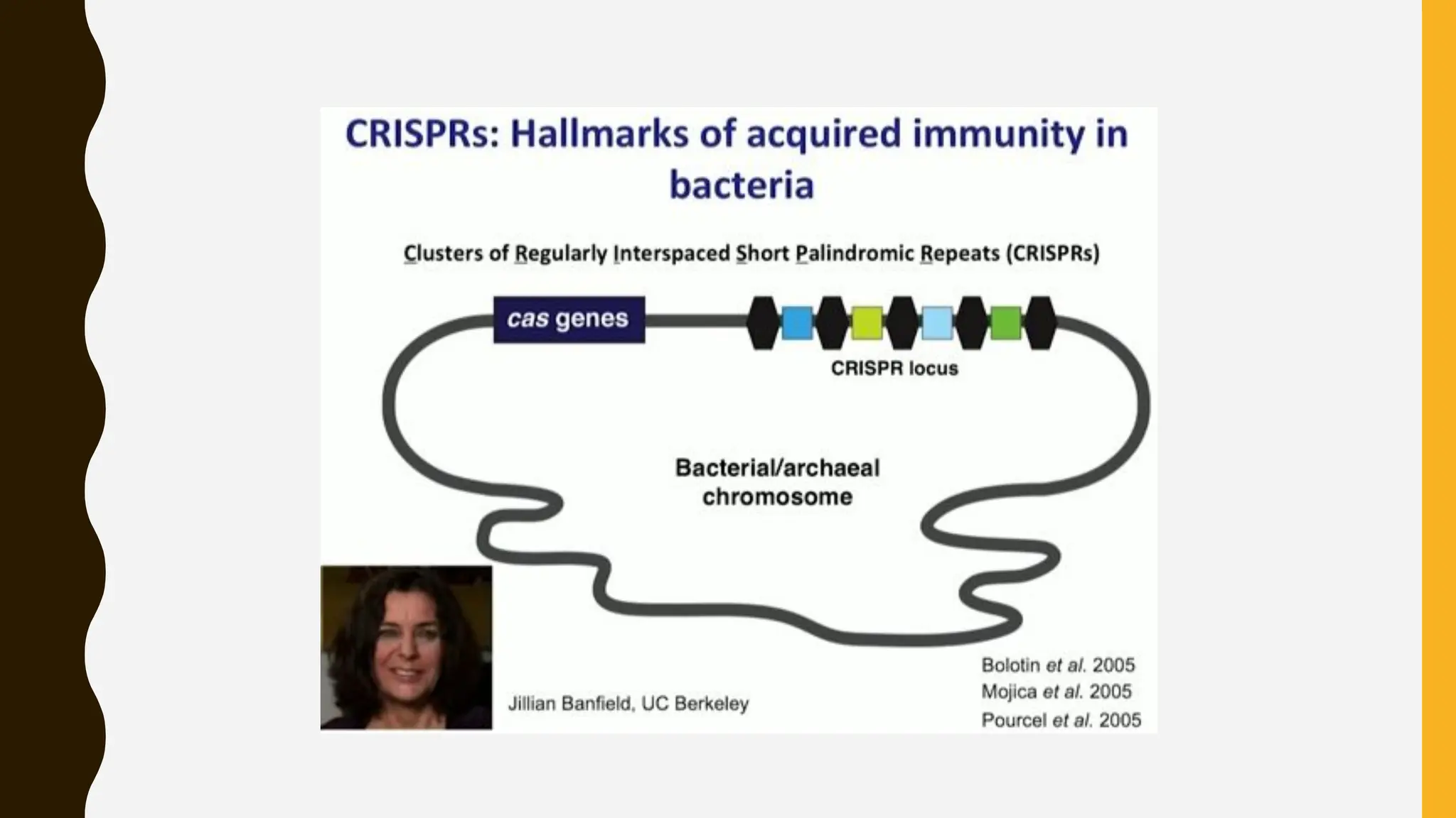 Unveiling CRISPR-Cas9: A New Era in Genetic Engineering- CRISPR-Cas9 by DR. ANUM KAMAL | PDF ...