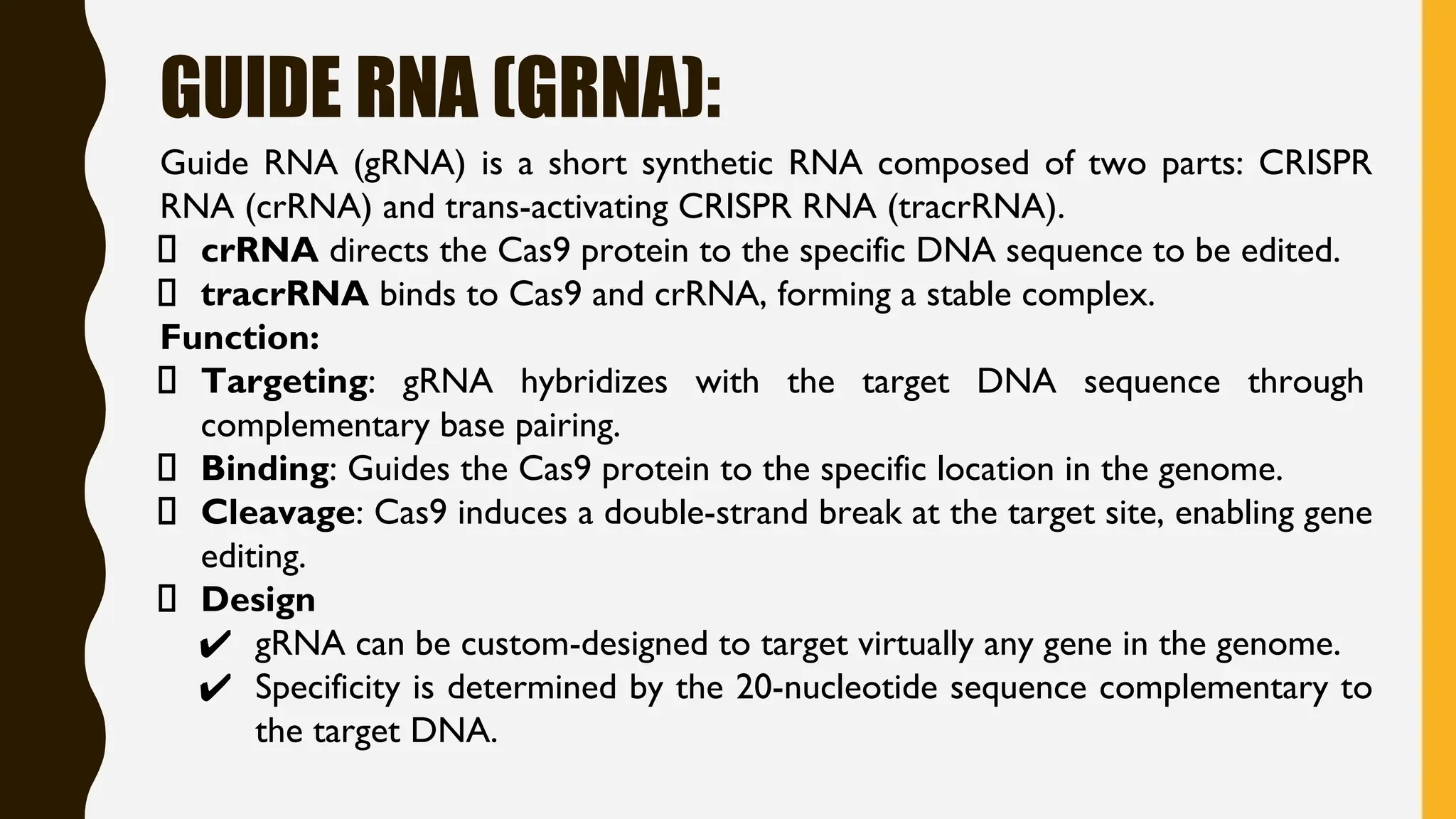 Unveiling CRISPR-Cas9: A New Era in Genetic Engineering- CRISPR-Cas9 by ...