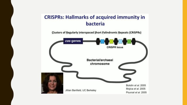 Unveiling CRISPR-Cas9: A New Era in Genetic Engineering- CRISPR-Cas9 by DR. ANUM KAMAL | PPT