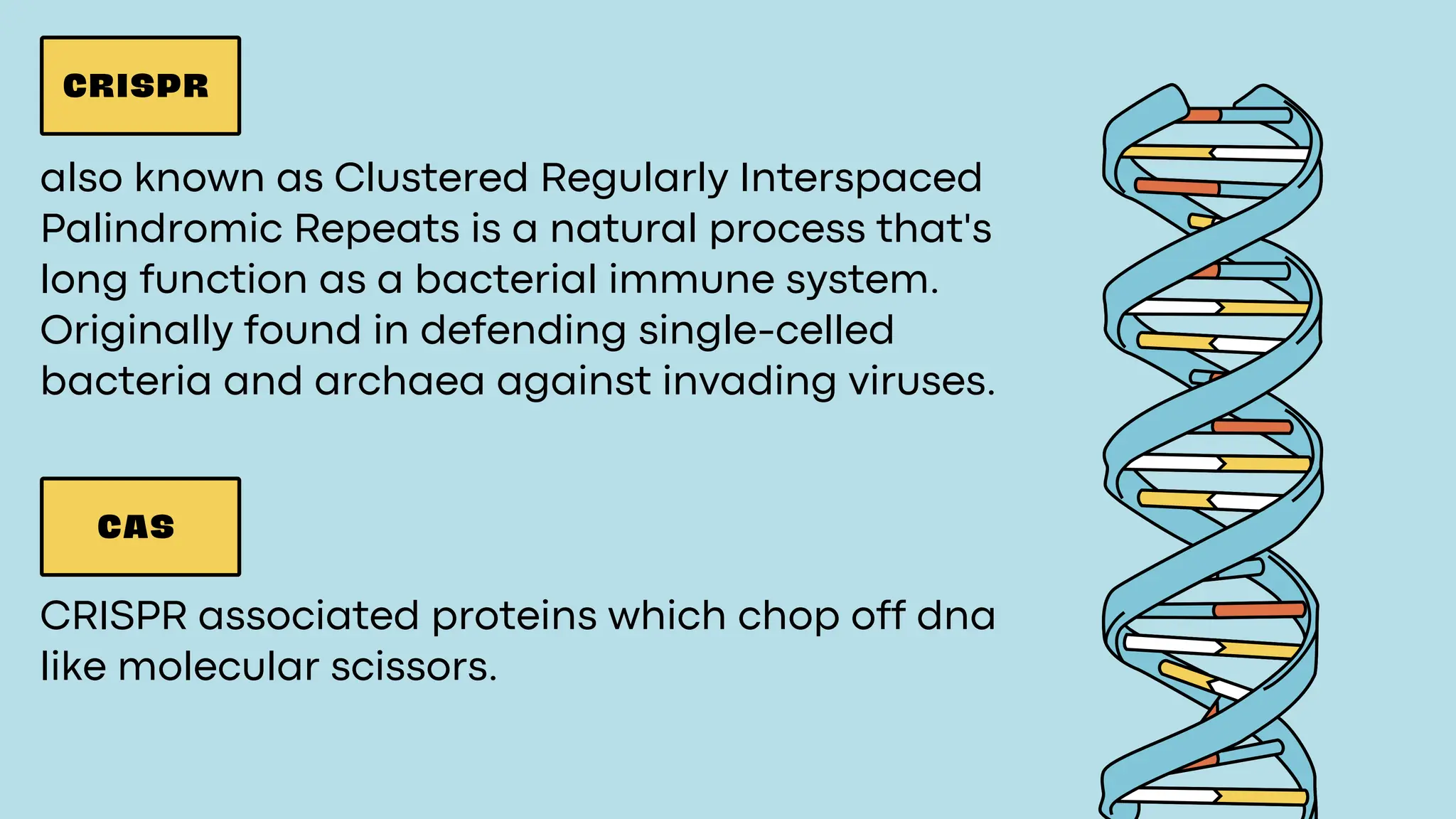 CRISPR - CAS 9 Gene Editing, Methods, Procedure and Ethical Consideration | PDF