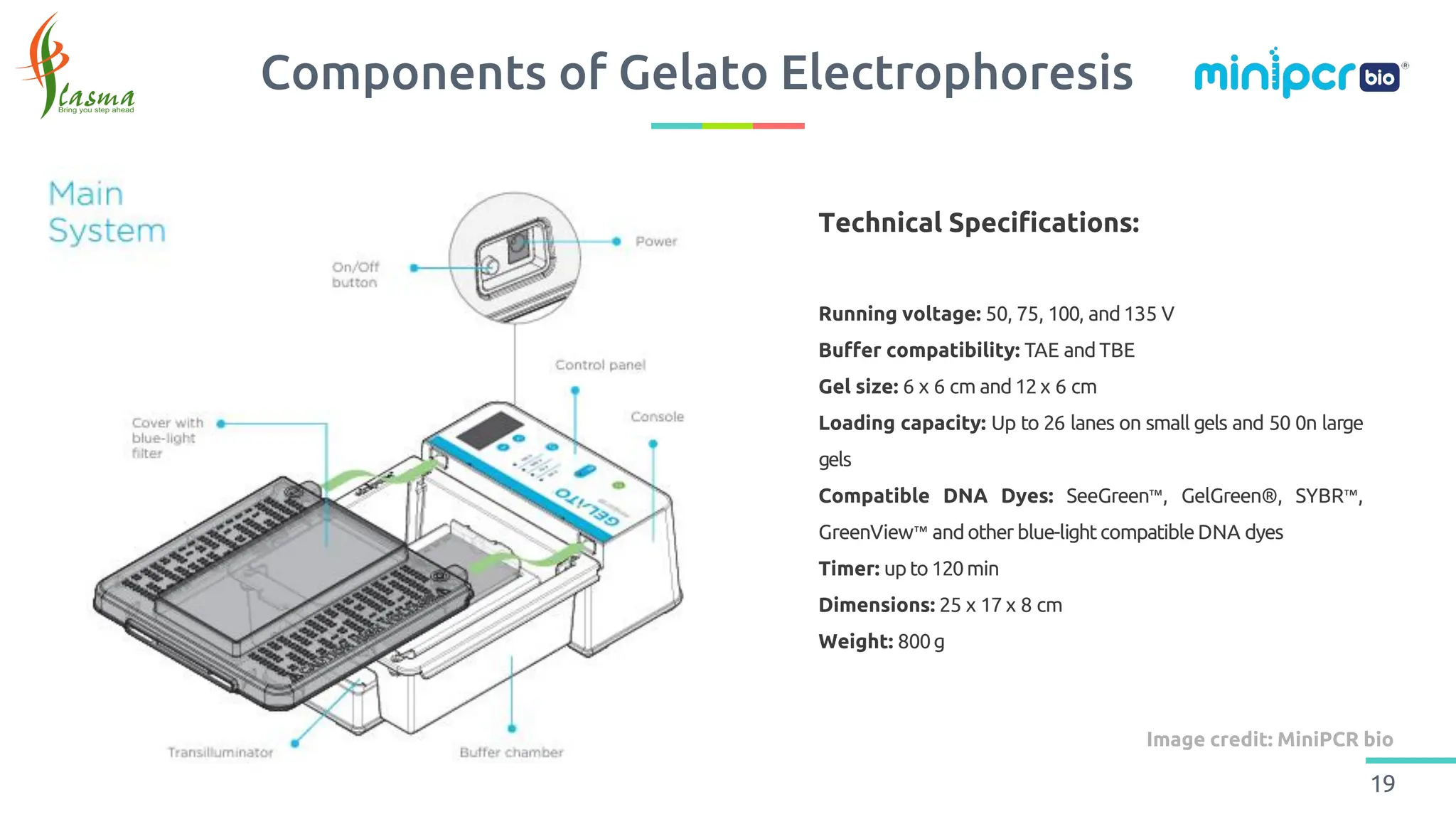 CRISPR Cas9 by Mini PCR untuk kuliah rekgen | PDF