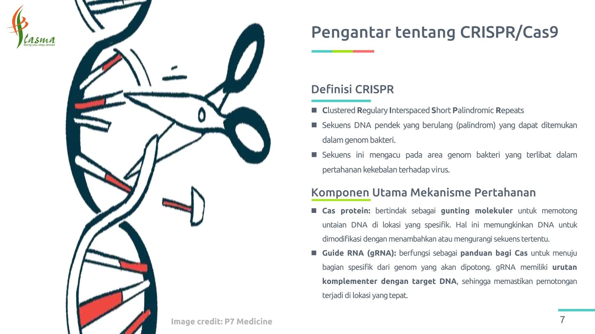 CRISPR Cas9 by Mini PCR untuk kuliah rekgen | PDF