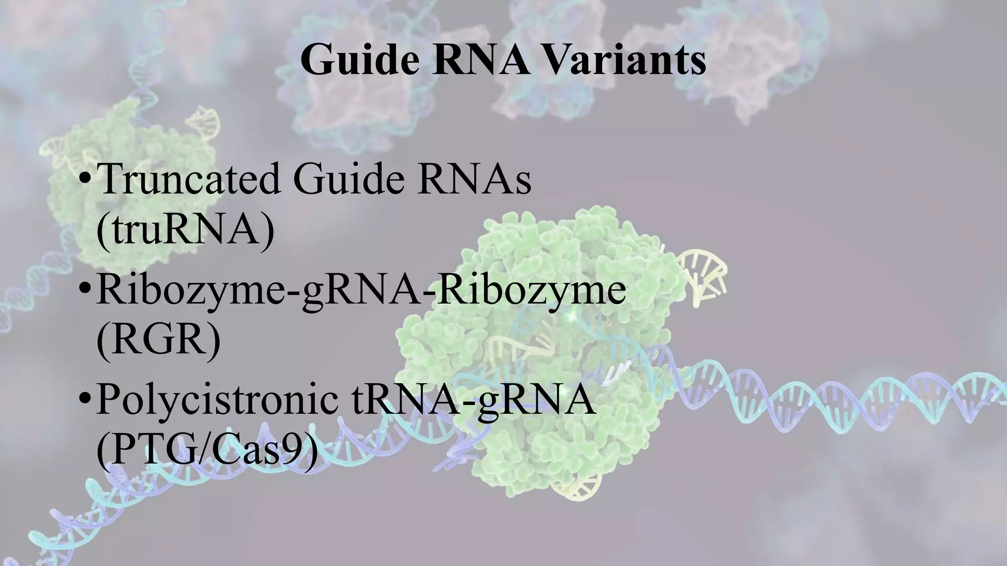 CRISPR A Genome Editing Tool | PPTX