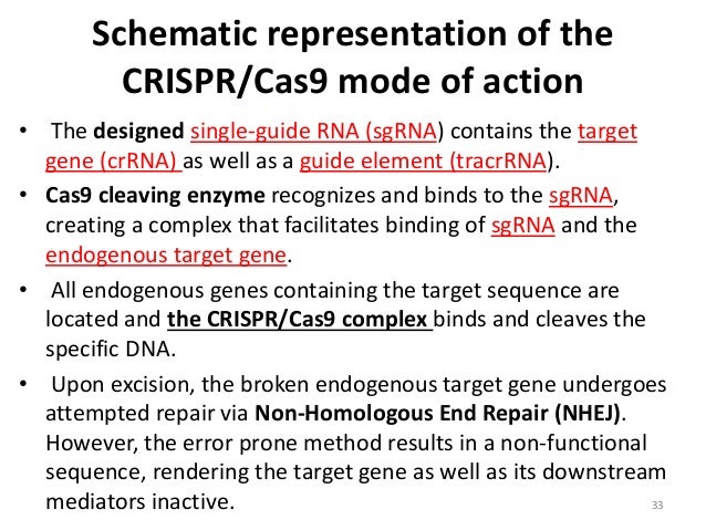 Crispr cas9 and applications of the technology