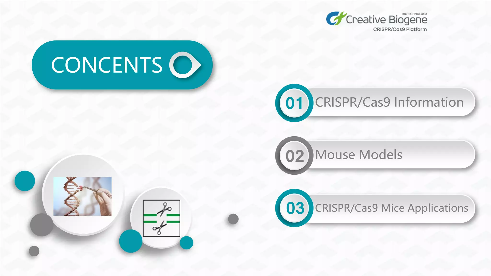 Crispr cas9 and mouse models | PDF