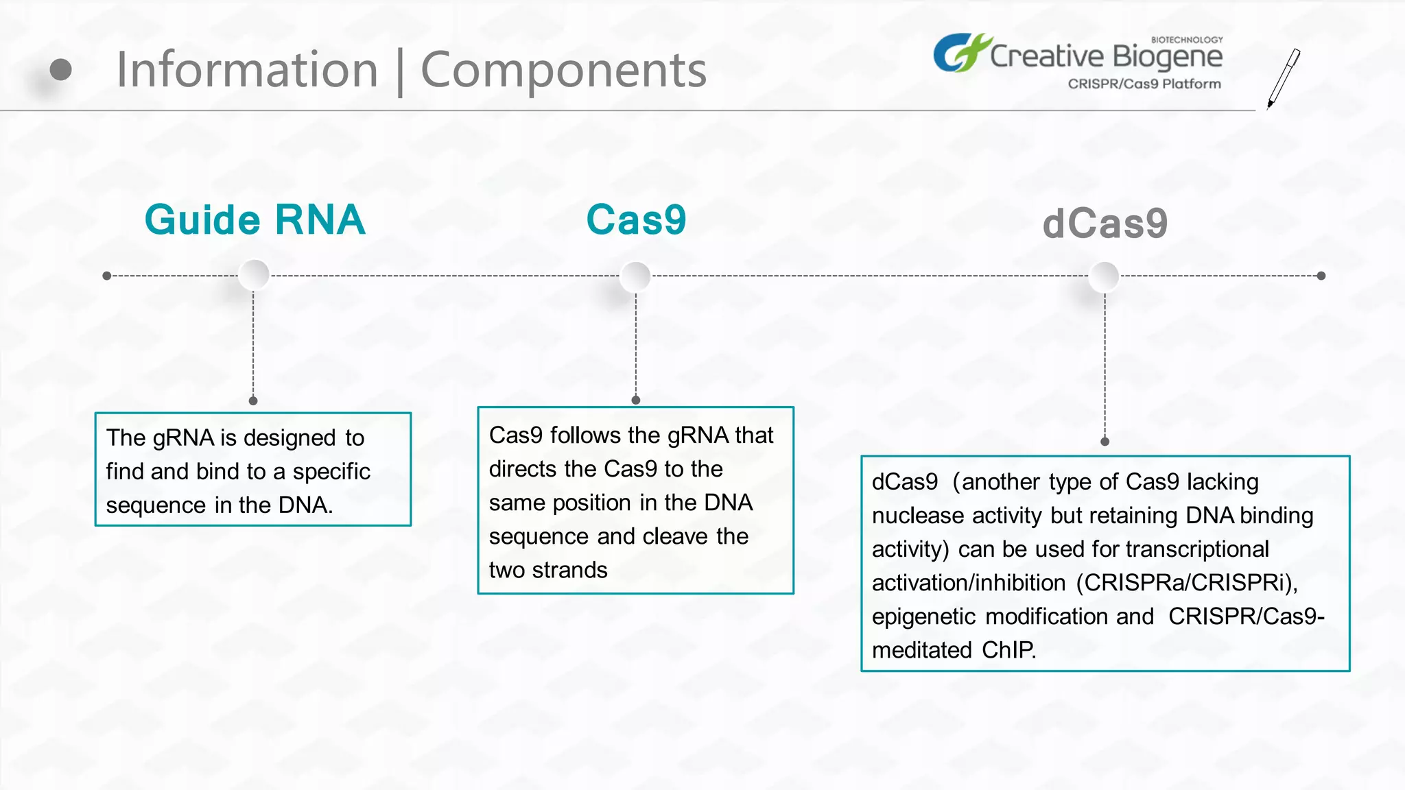 Crispr cas9 and mouse models | PDF