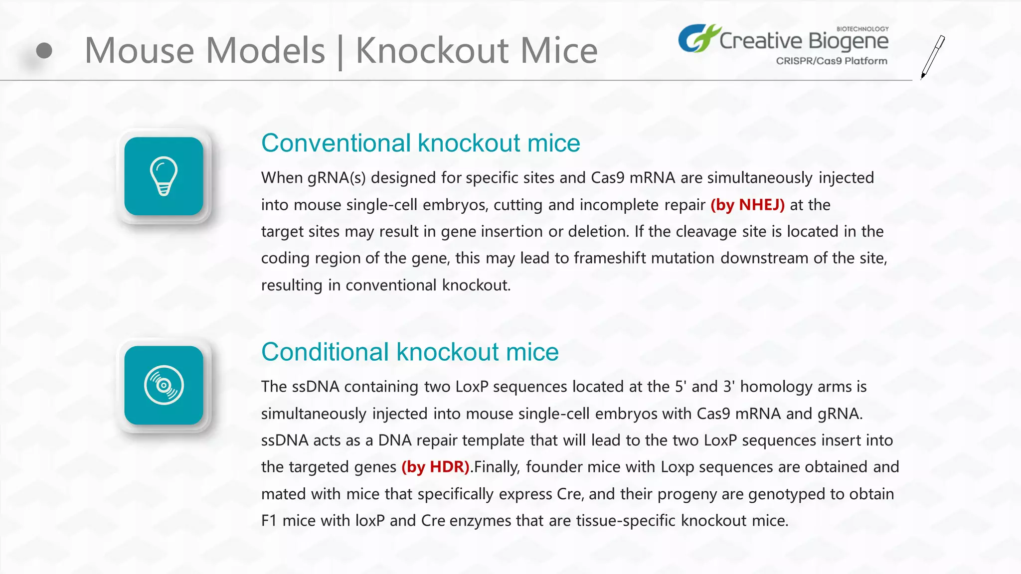Crispr cas9 and mouse models | PDF