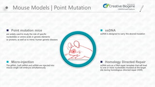 Crispr cas9 and mouse models | PDF