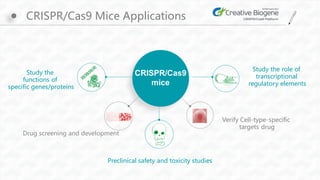 Crispr cas9 and mouse models | PDF
