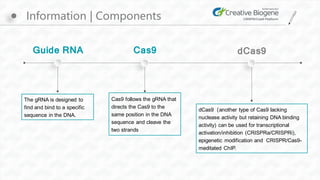 Crispr cas9 and mouse models | PDF
