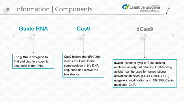 Crispr cas9 and mouse models | PDF | Biological Sciences | Science