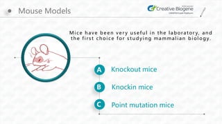 Crispr cas9 and mouse models | PDF