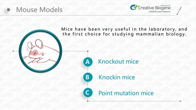 Crispr cas9 and mouse models | PPT