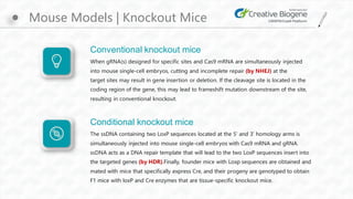Crispr cas9 and mouse models | PDF