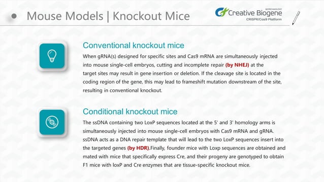 Crispr cas9 and mouse models | PDF | Biological Sciences | Science