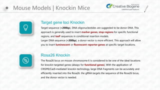 Crispr cas9 and mouse models | PDF