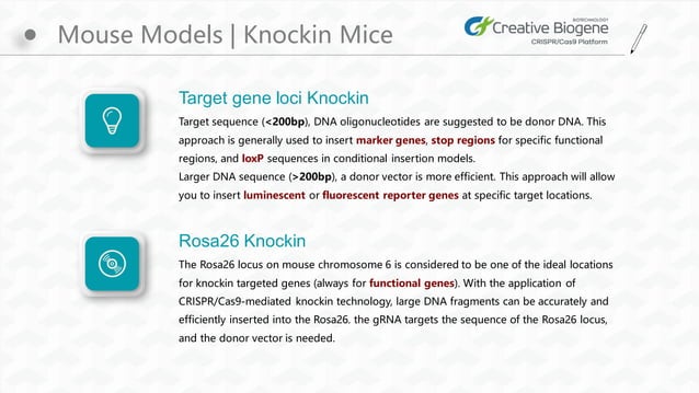 Crispr cas9 and mouse models | PDF | Biological Sciences | Science