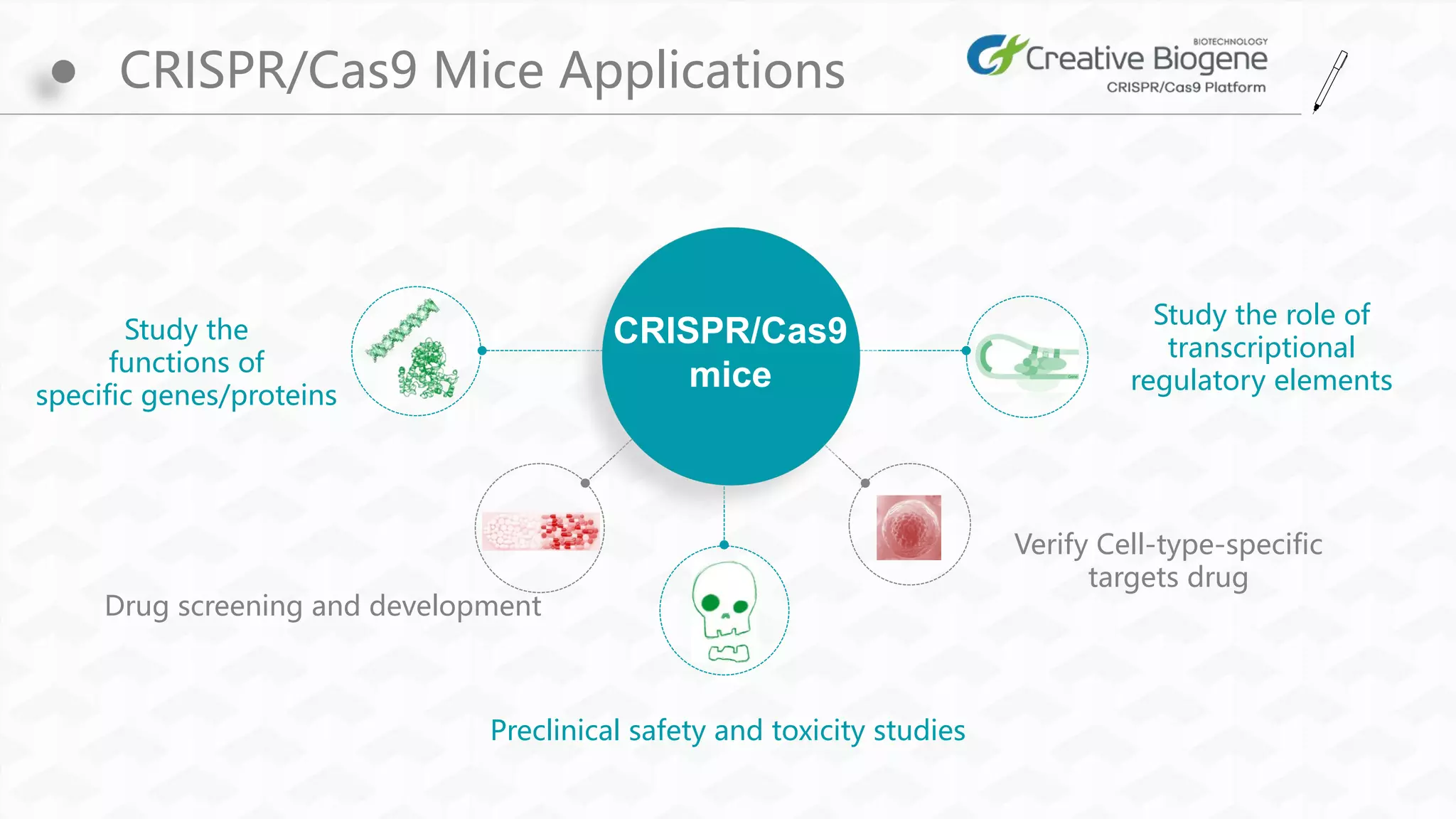 CRISPR Cas9 and Mouse Models | PPT