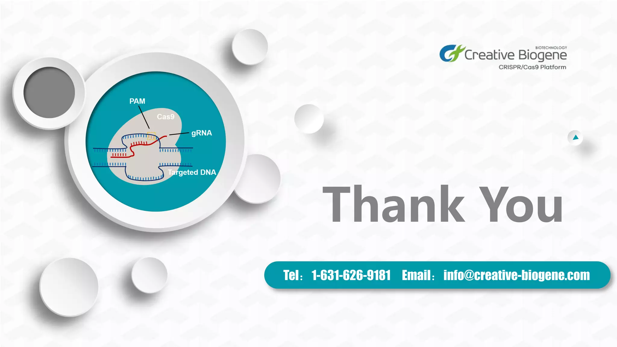 CRISPR Cas9 and Mouse Models | PPT