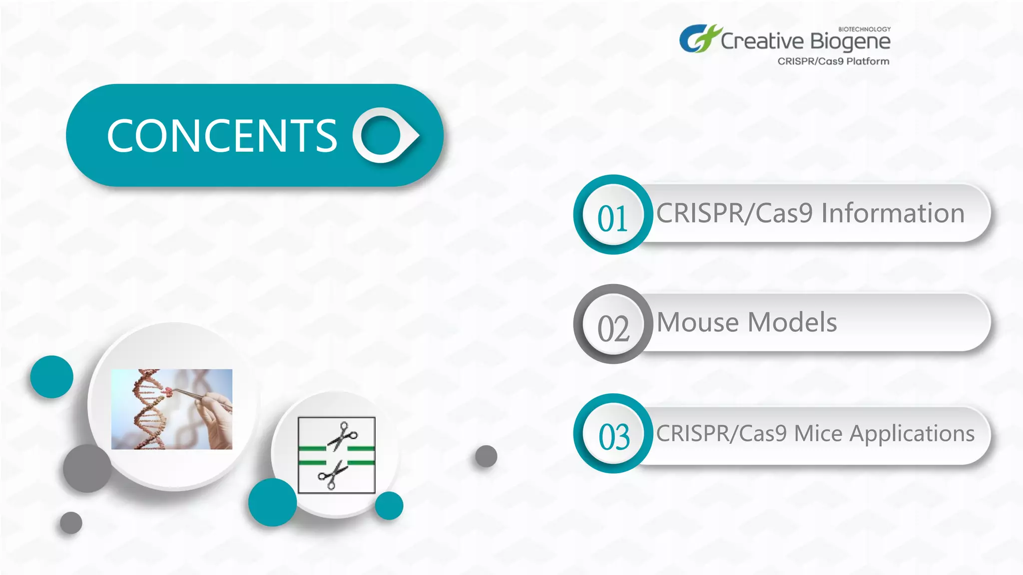 CRISPR Cas9 and Mouse Models | PPT