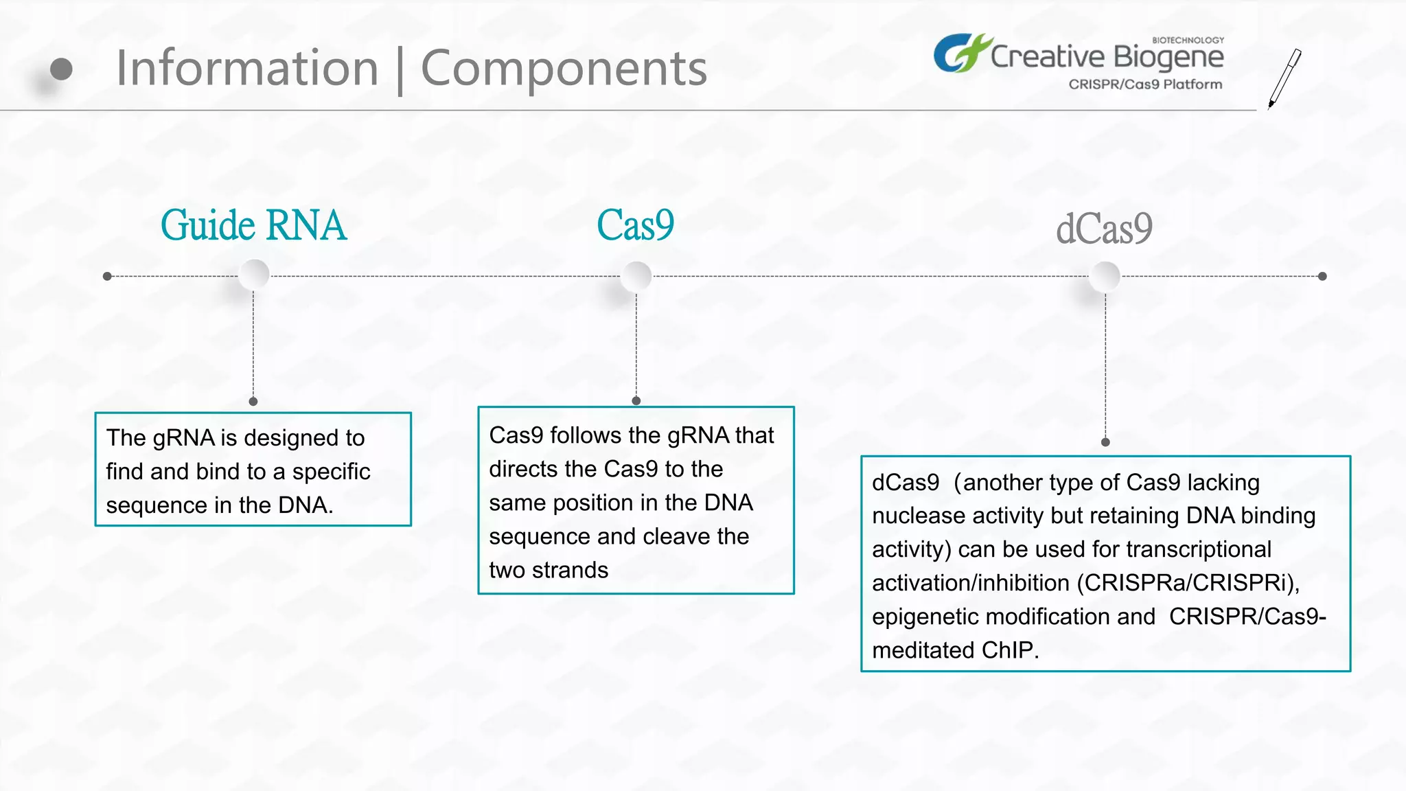 CRISPR Cas9 and Mouse Models | PPT