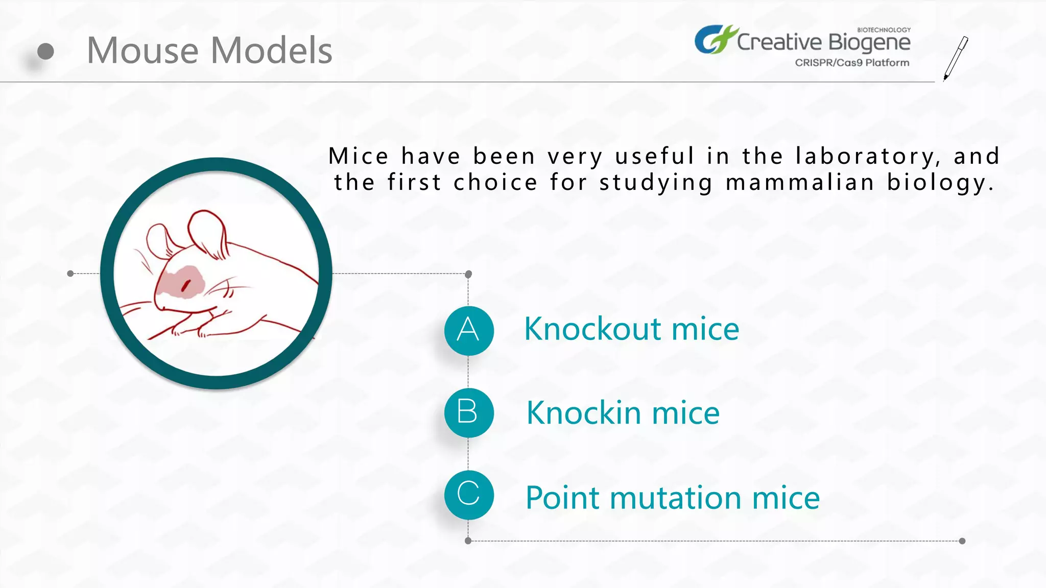 CRISPR Cas9 and Mouse Models | PPT