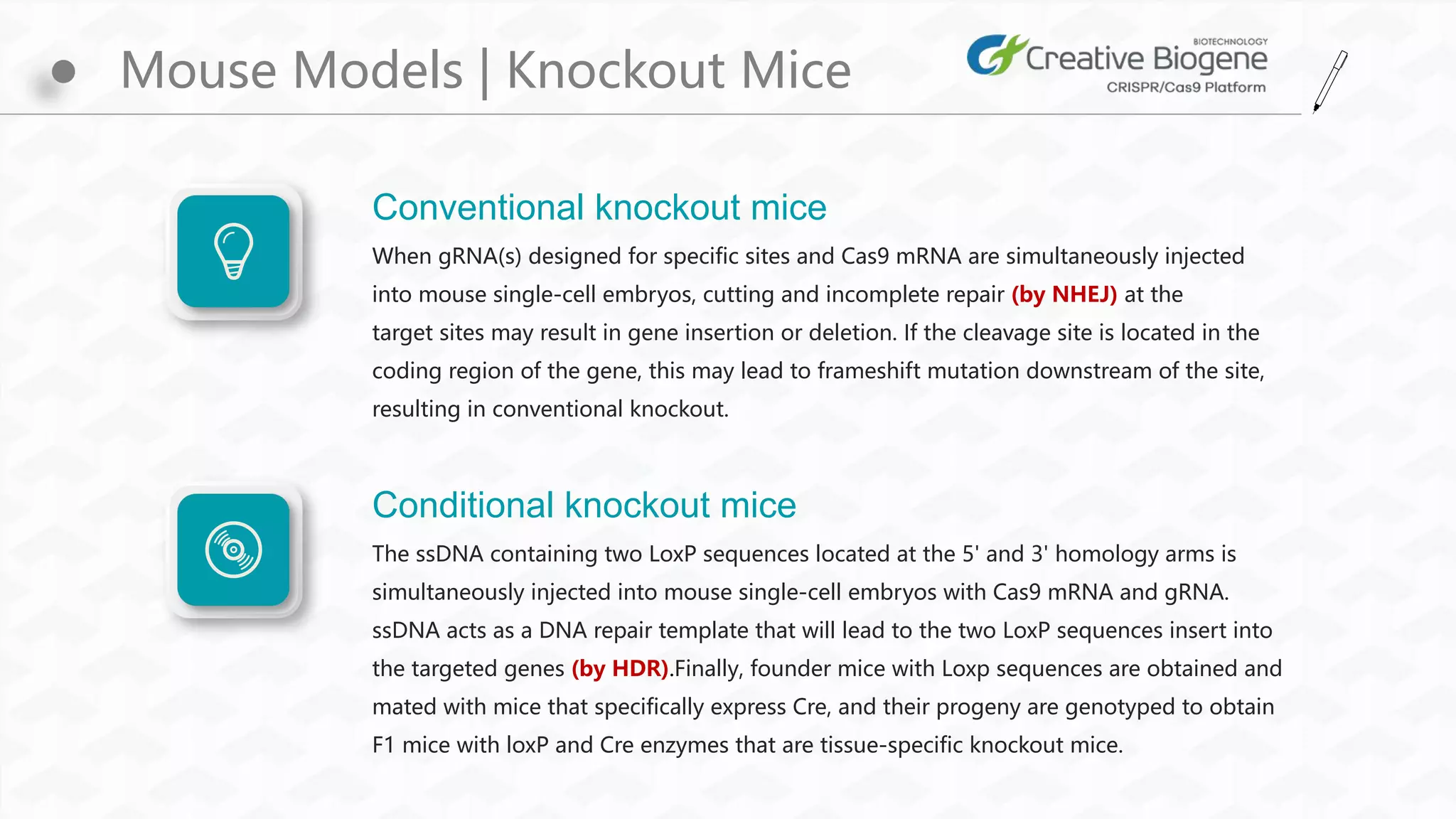 CRISPR Cas9 and Mouse Models | PPT