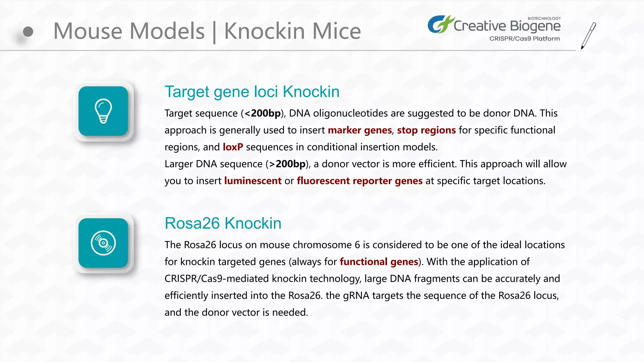 CRISPR Cas9 and Mouse Models | PPT