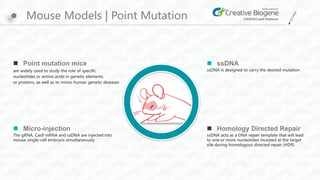 CRISPR Cas9 and Mouse Models | PPT