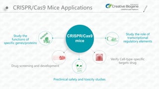 CRISPR Cas9 and Mouse Models | PPT